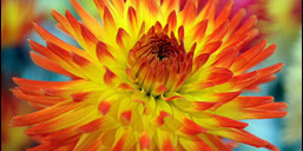 Šonedēļ sākas astronomiskais rudens