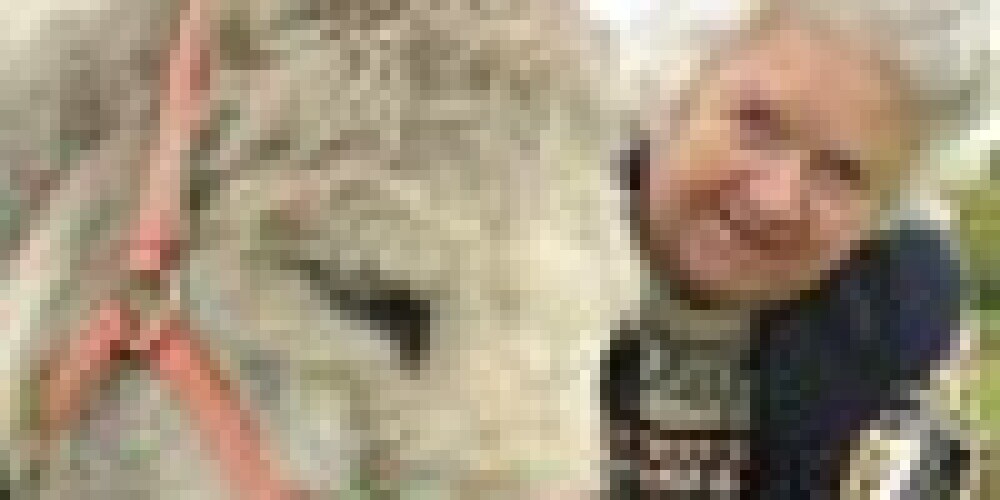 TRAKĀ PASAULE: Pasaulē vecākais ēzelis dzer alu