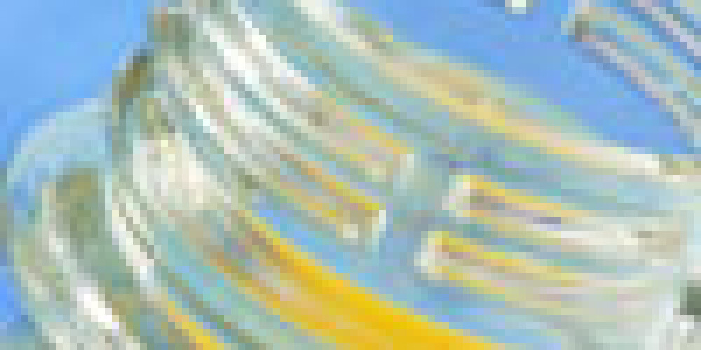 Ko darīt, ja iekož bite, dundurs, lapsene vai irsis?