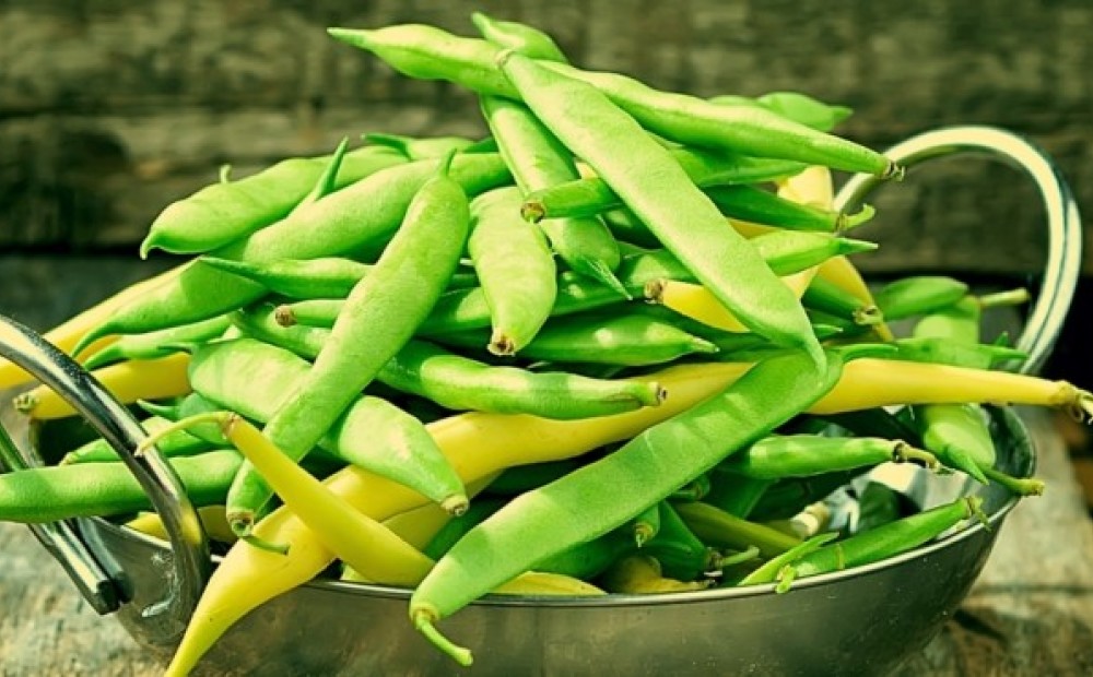 Pākšu pupiņas - kādus ēdienus no tām gatavot un kā sasaldēt ziemai