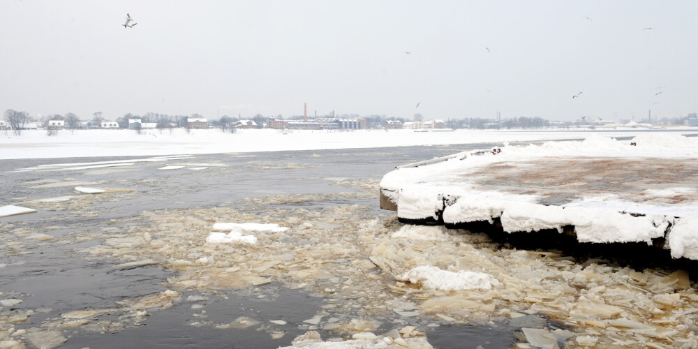 Krāslavas novadā no ledus gabala Daugavā izglābj piecus cilvēkus