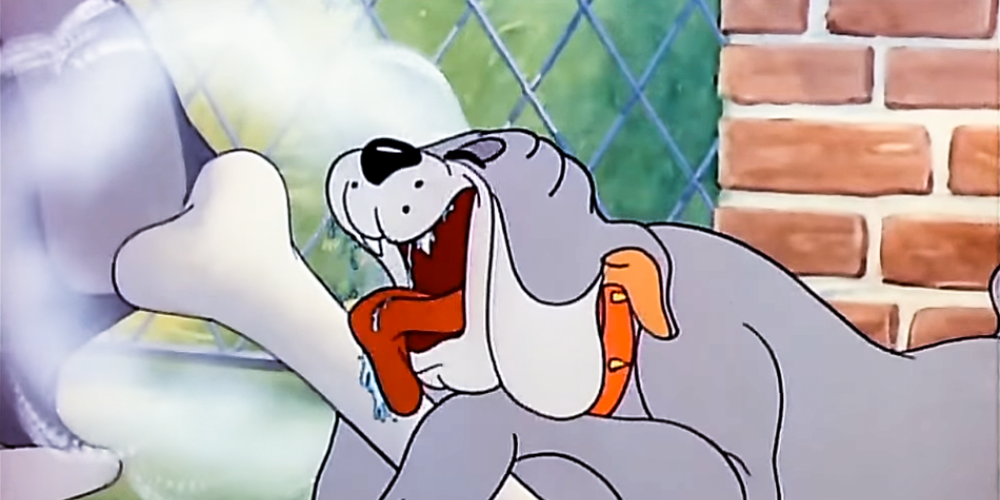 Kaulaudu pieaudzēšana: zaudēto atjaunošana