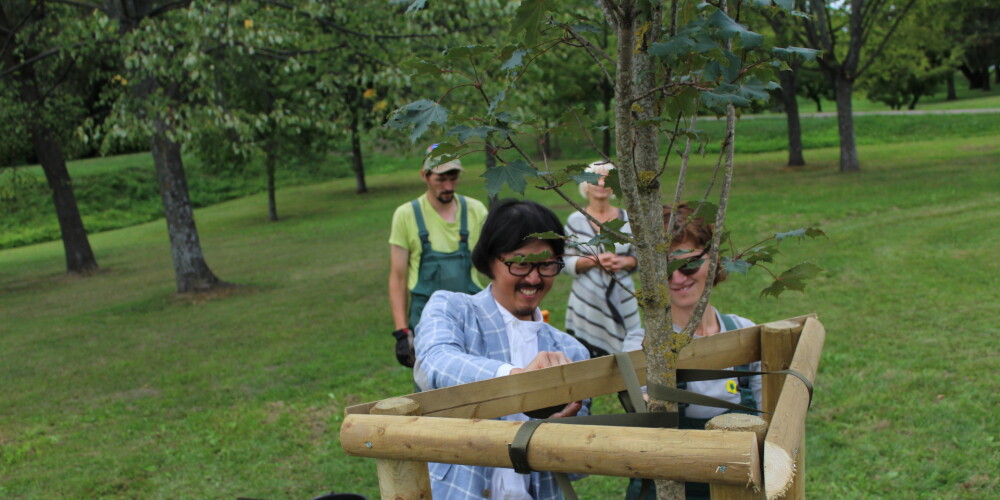 Uzvaras parkā kā miera simbols iestādīts koks