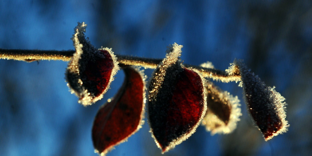 Astronomiskais rudens pirmdien sāksies ar saltāko rītu kopš pavasara