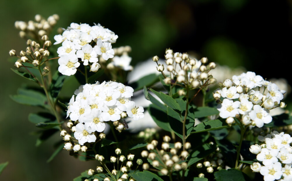 Šodien sākas astronomiskais rudens, bet daļā Latvijas jūtama vasara