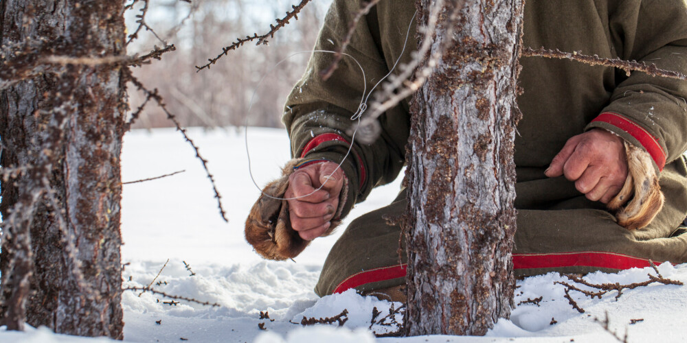 Cilpas mežā: nežēlīgs, bet, par laimi, rets pārkāpums
