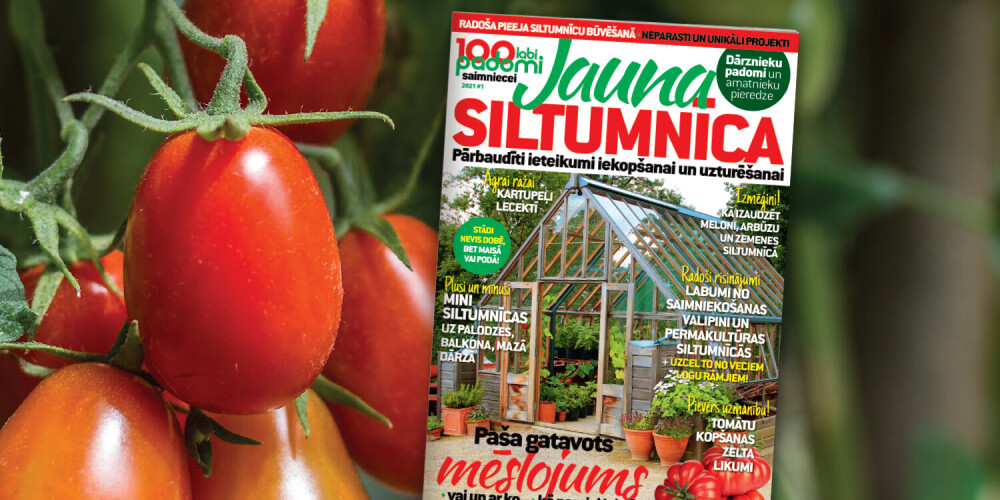 Ielūkojies jaunajā siltumnīcu pasaulē! 100 labu padomu speciālizlaidums