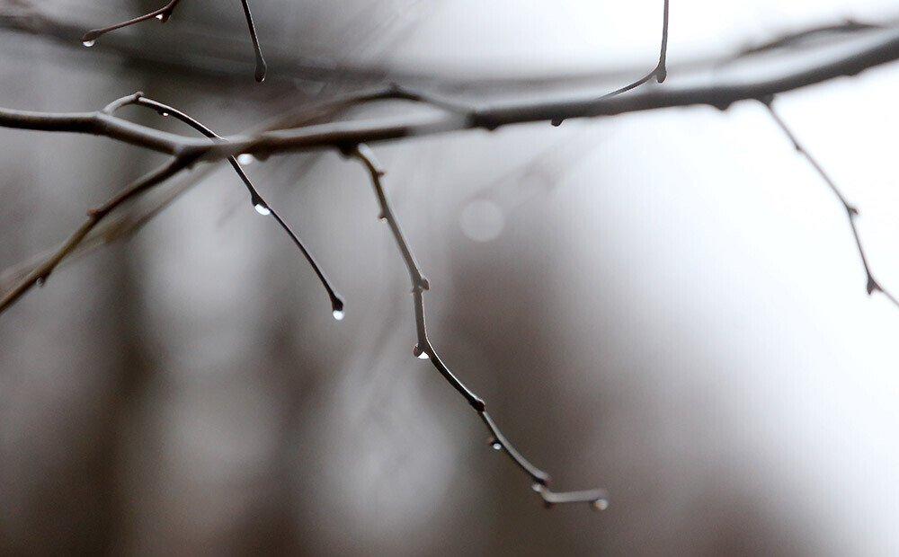 Pirmdien debesis Latvijā aizklās mākoņi un vietām gaidāms lietus