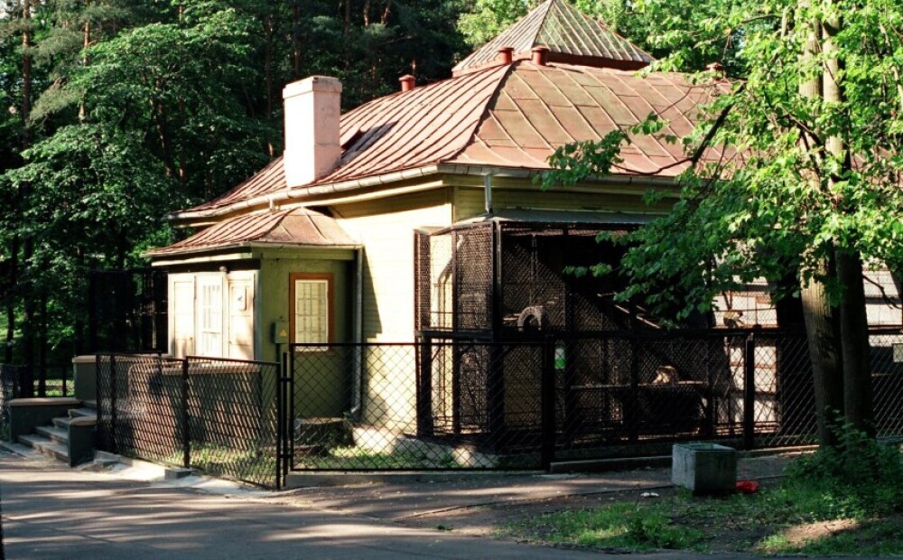 Рижский зоопарк попрощается со 110-летним Домом обезьян - Otkrito.lv