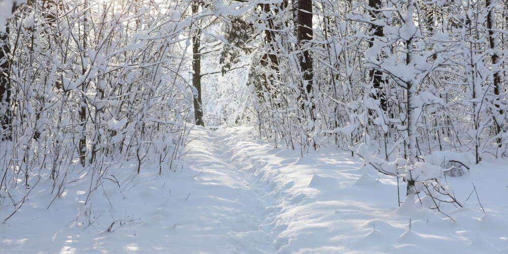 Ceturtdien gaidāma saule, bet pēcpusdienā debesis sāks apmākties