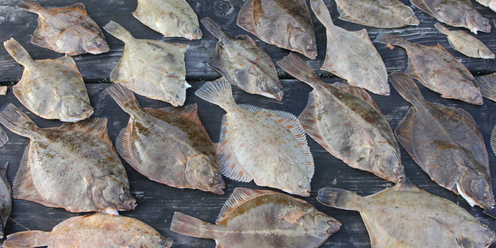 Īstiem vīriem īstais laiks padomāt par butes ķeršanu