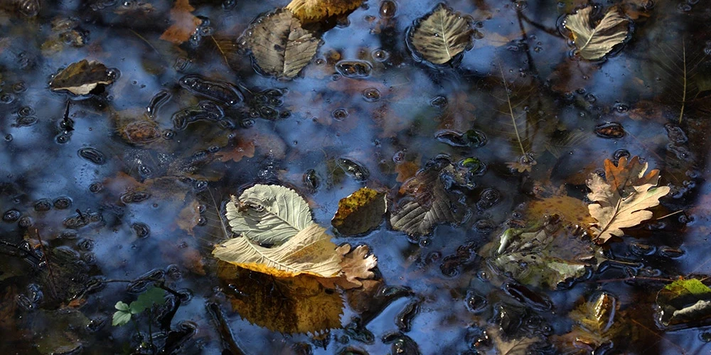 Otrdien Latvijā debesis būs apmākušās un dažviet gaidāmas lietusgāzes