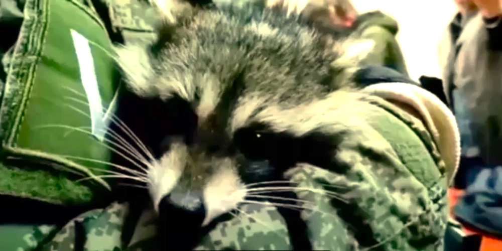 Nolaupītais ukraiņu jenots gūstā sakož krievu okupantu pārstāvi