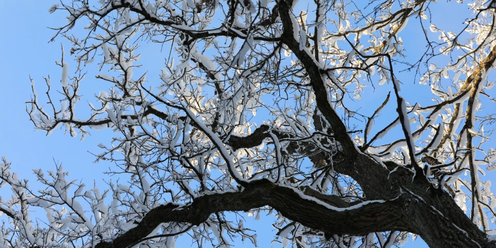 Šodien debesis brīžiem skaidrosies
