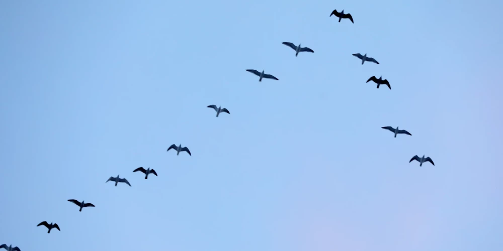 Otrdienas rītā pārsvarā skaidras debesis