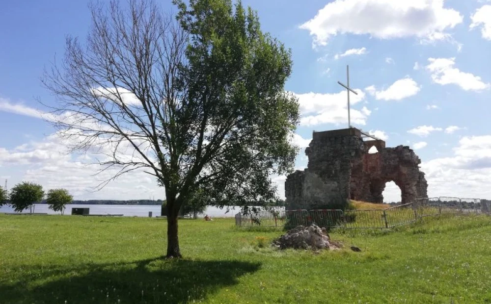 Salaspilī kaitēkļu dēļ pludmales ainava radikāli mainīsies