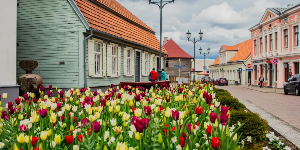 Ventspilī gatavojas uzplaukt vairāk kā 150 tūkstoši sīpolpuķu