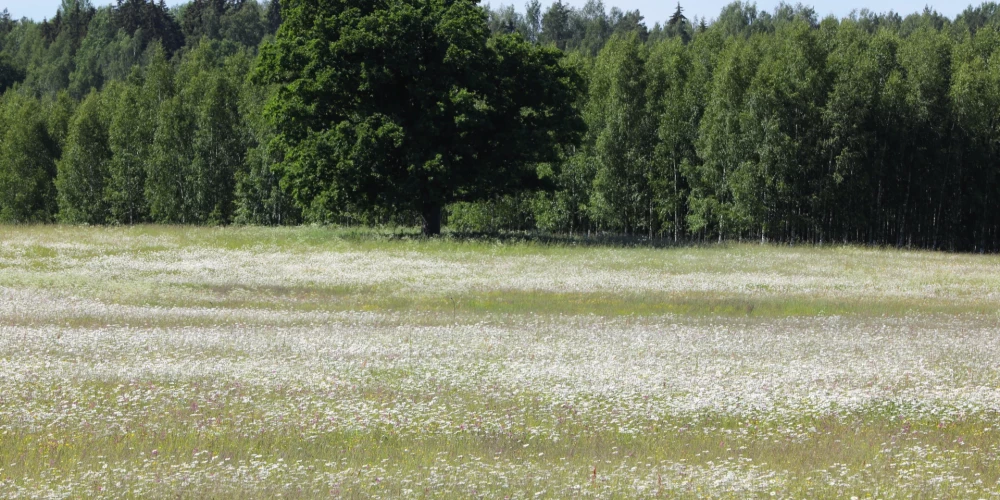 Laika prognoze trešdienai