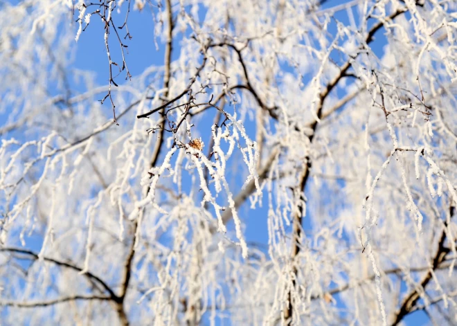Latvijā sākusies meteoroloģiskā ziema