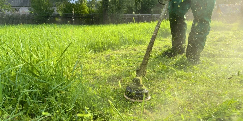 Pļaujot Zāli Ar Trimmeri Smagu Acs Savainojumu Guvis 23 Gadus Vecs Jaunietis Ārsts Edijs