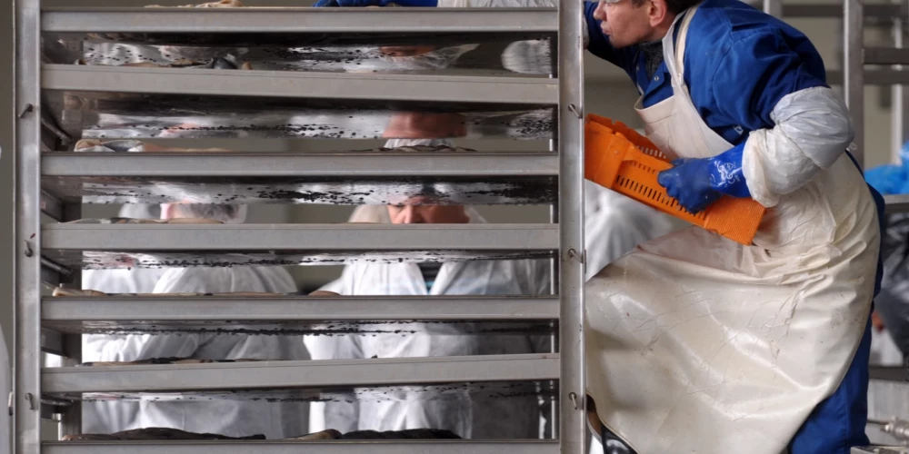 Vidējā bruto darba alga otrajā ceturksnī Latvijā pieaugusi par 9,6%