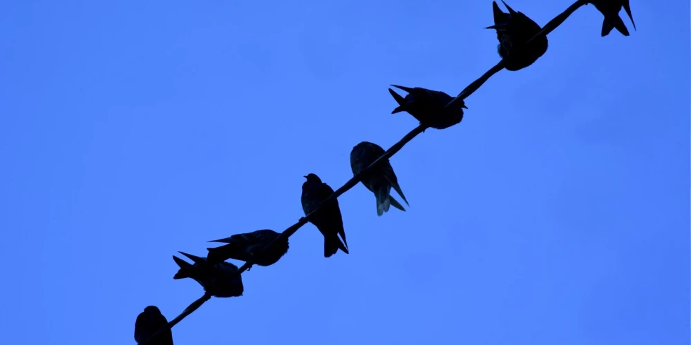 Ceturtdien saglabāsies skaidras debesis