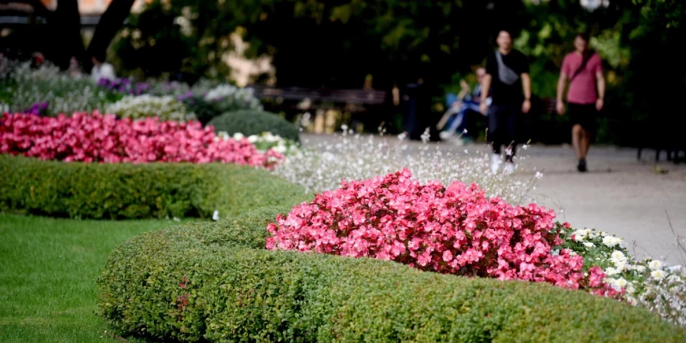 2024. gada vasara Latvijā - piektā siltākā novērojumu vēsturē