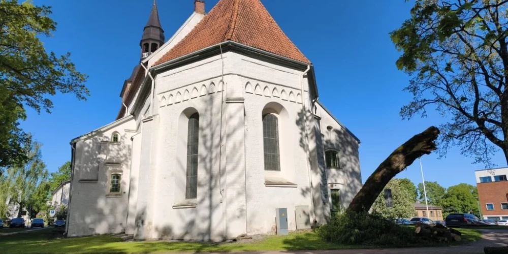 Valmierā pie Sv. Sīmaņa baznīcas nolūzusi vēsturiskā liepa