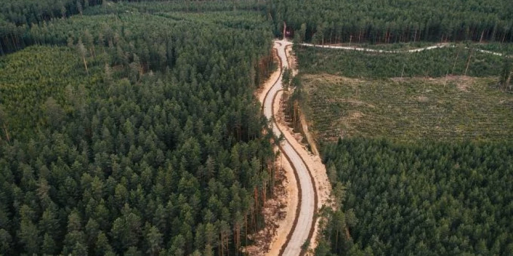 "Latvijas valsts meži" pagājušajā gadā sasnieguši izcilus darbības ...