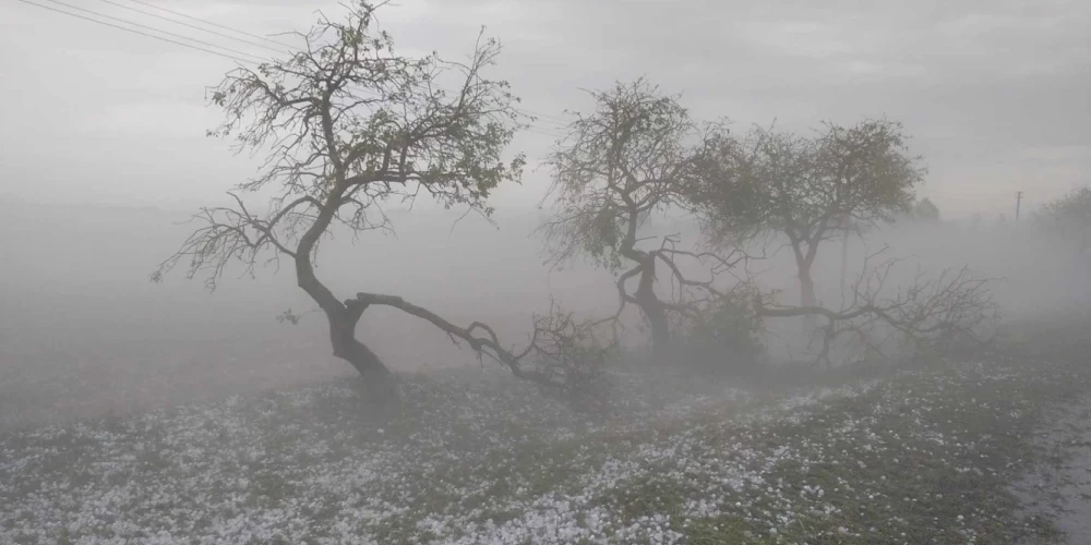 FOTO: lūk, kādu postu Dobeles novadā un citviet atnesa negaiss un ...